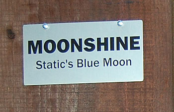 The 2011 Barn Names Survey – Our First Horse